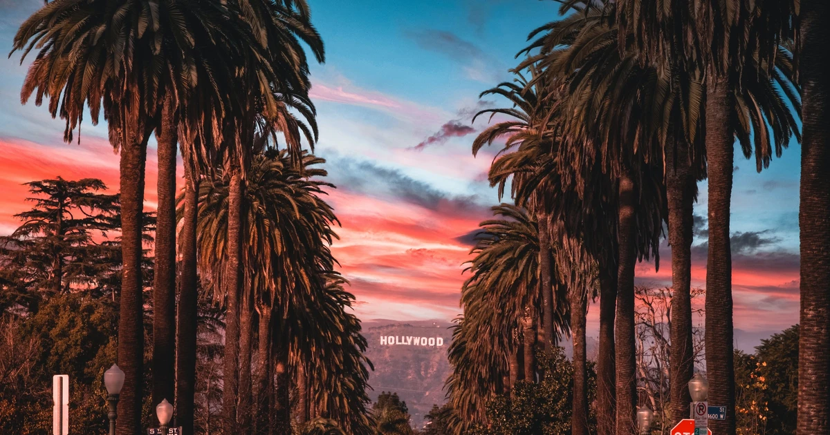 Famous Celebrities Who Learn To Code